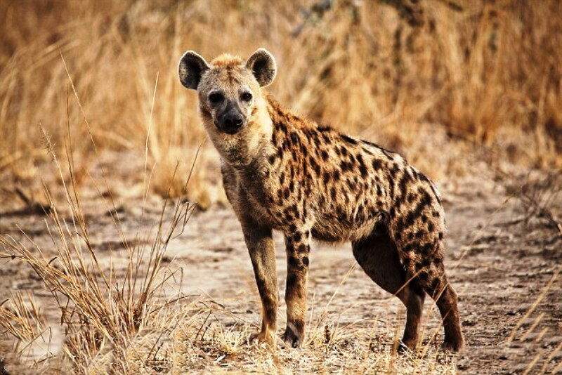 اکانت kaftar new من تعلیق شد | طرفداری